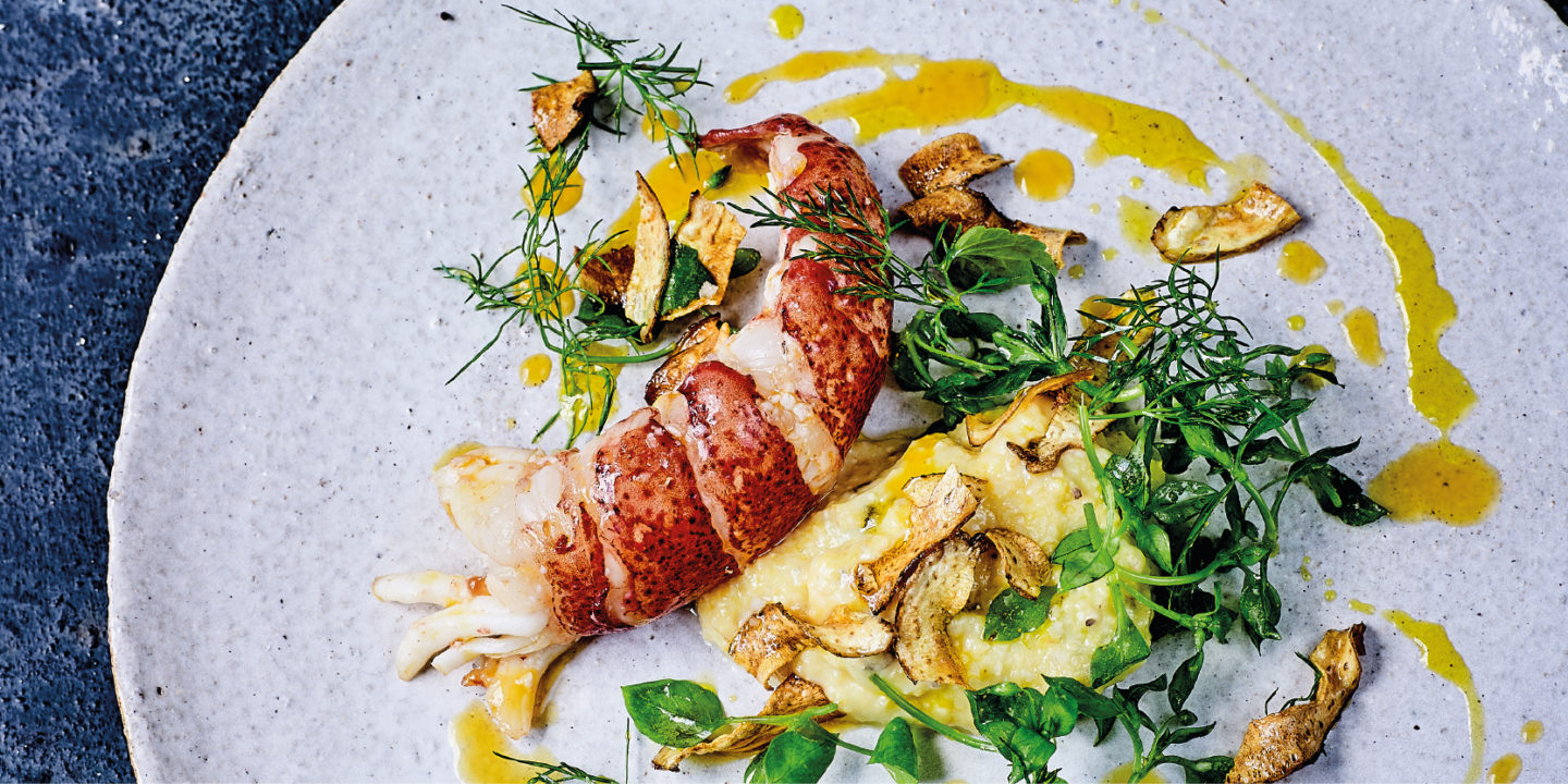 Page d'accueil d'Unexo - Unexo